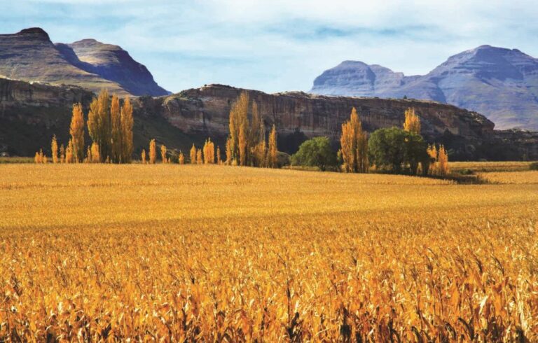 The Free State Province is open for business and investment | Global ...