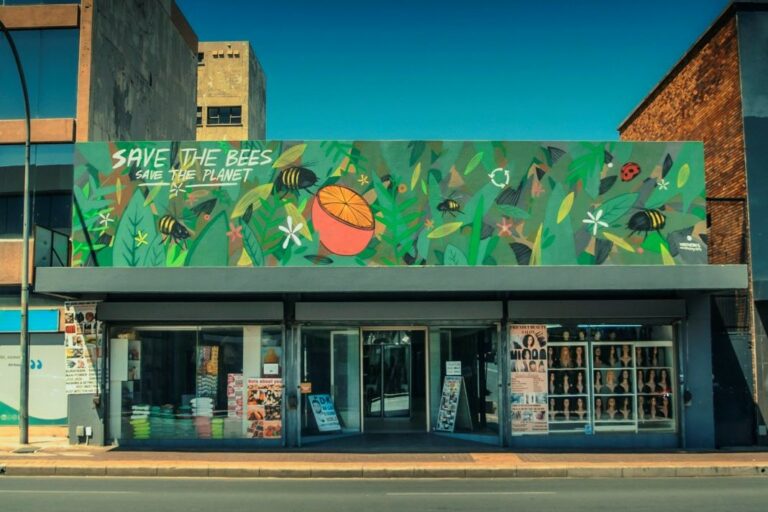 Bellville’s latest wall mural creates a buzz | Global Africa Network