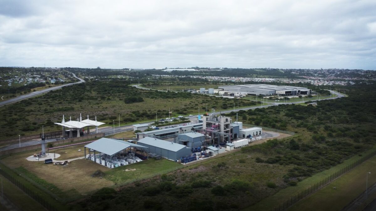 Innovation, growth, and global investment opportunities at the ELIDZ ...