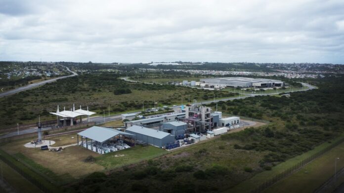 Innovation, growth, and global investment opportunities at the ELIDZ ...